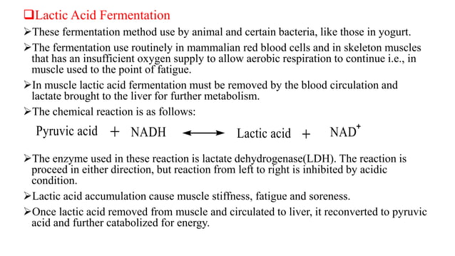 Fermentation | PPTX | Chemistry | Science