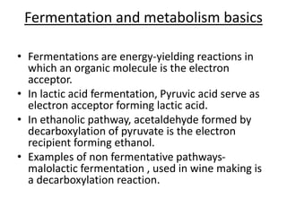 Fermentation.pptx