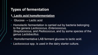Fermentation.pptx