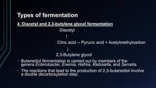Fermentation.pptx