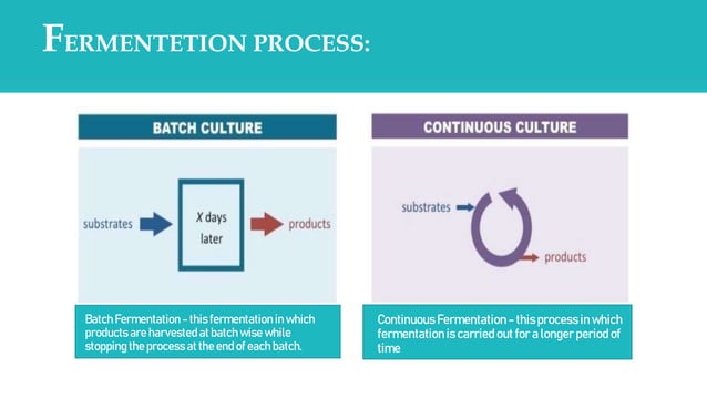 Fish fermentation products.pptx | Food & Drink