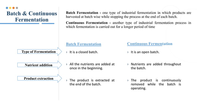 Fish fermentation products.pptx | Food & Drink