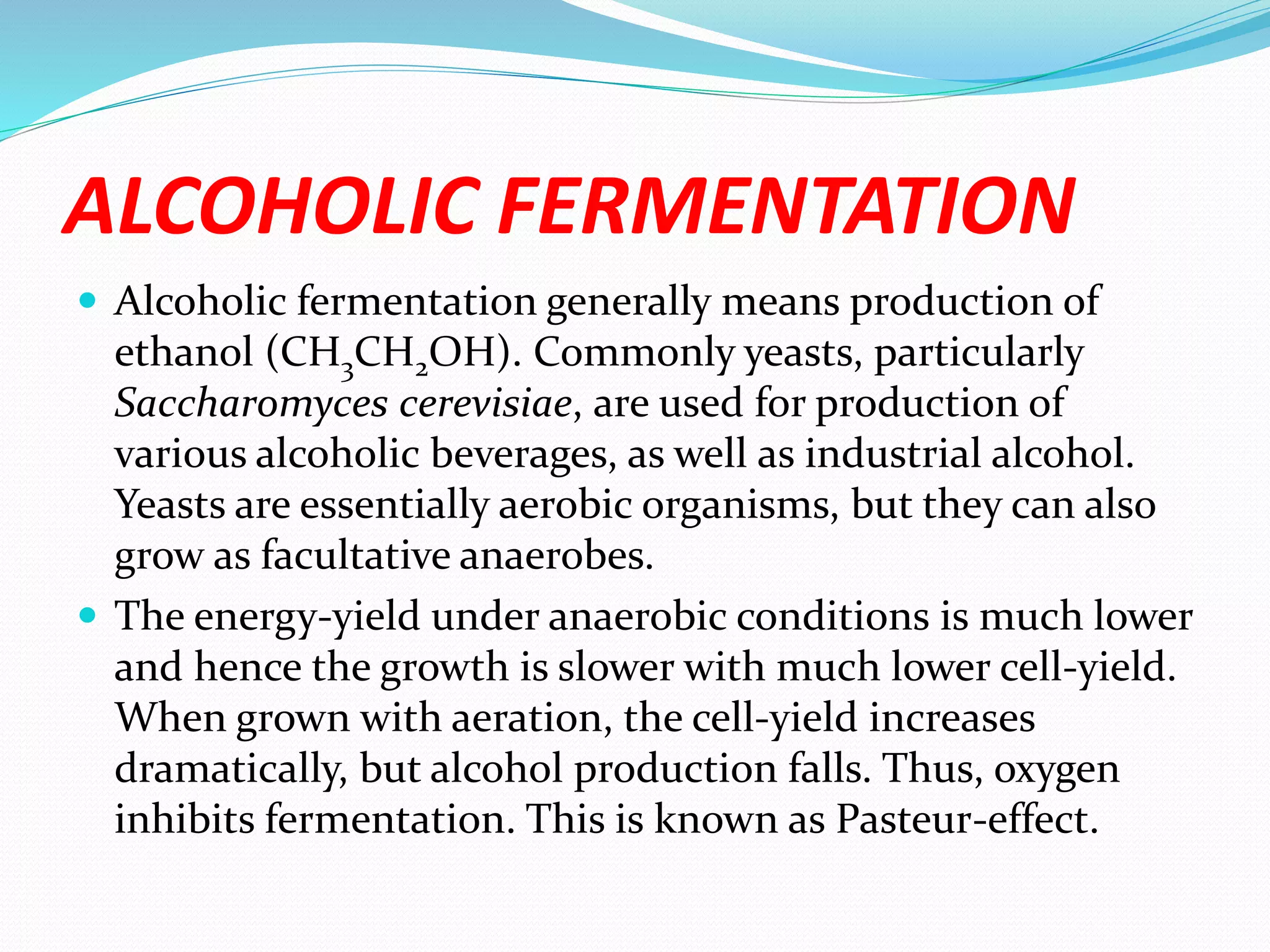 fermentation.pdf