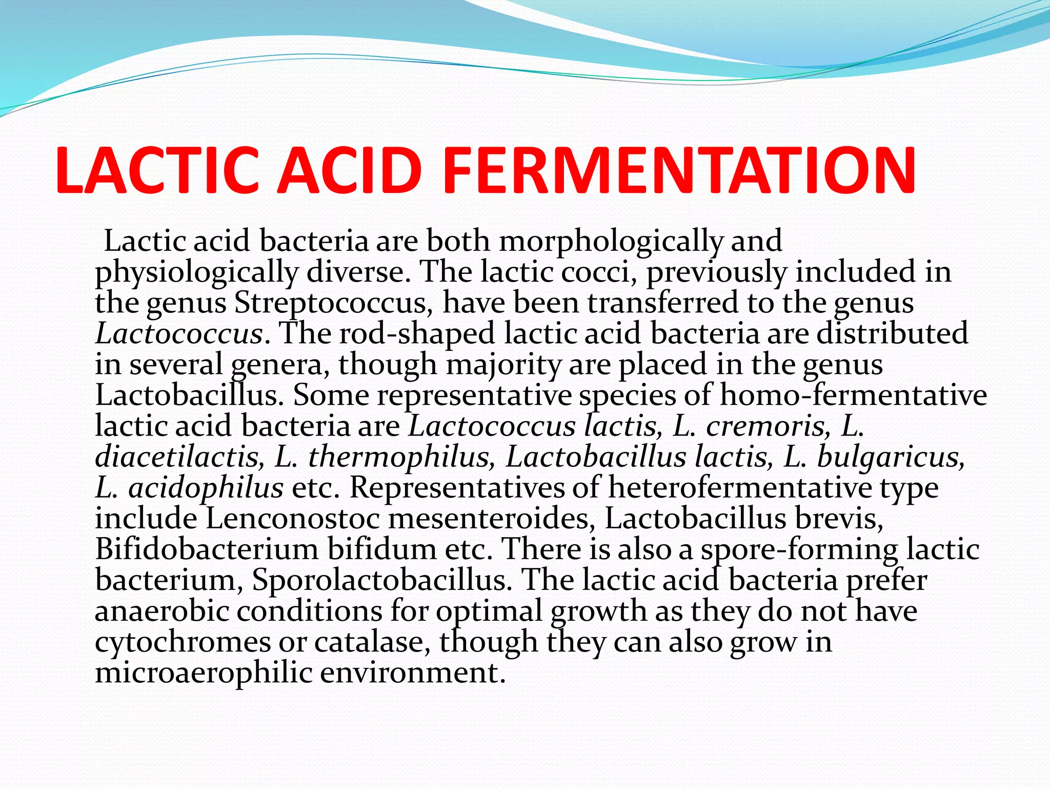 fermentation.pdf