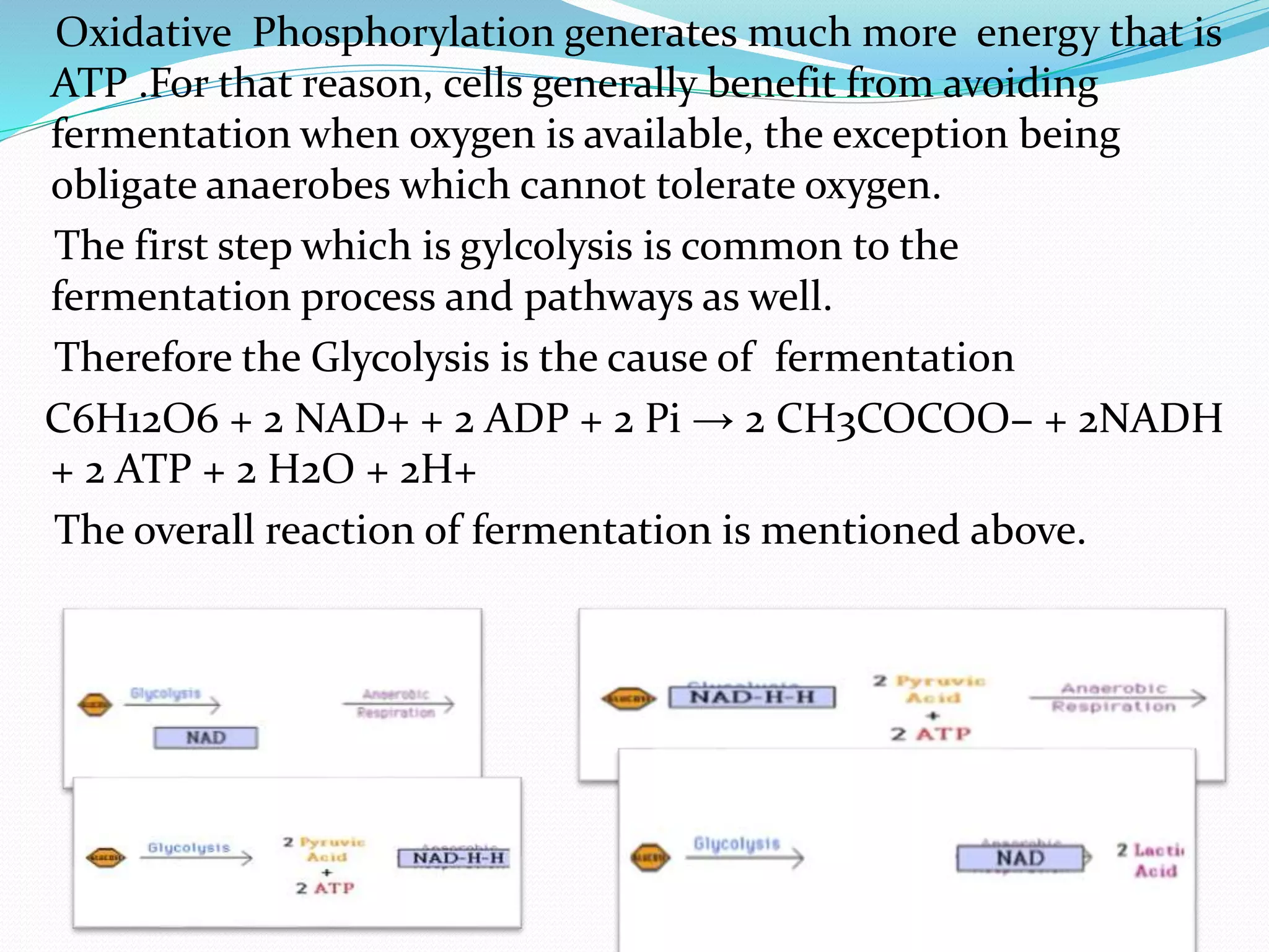 fermentation.pdf