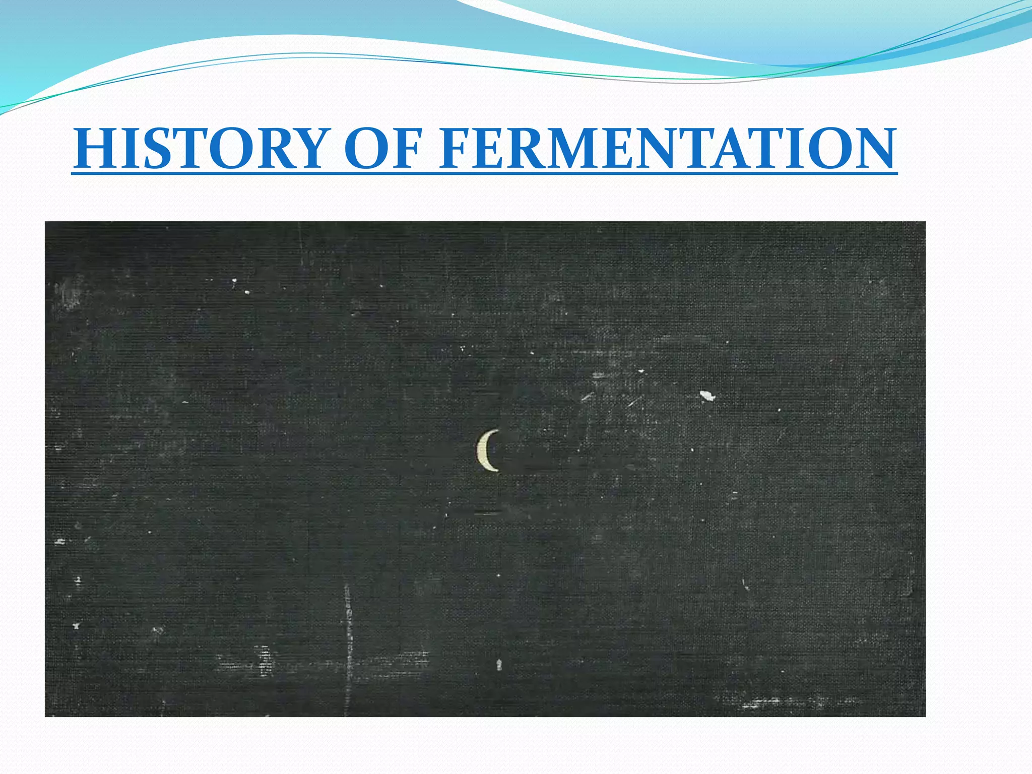 fermentation.pdf