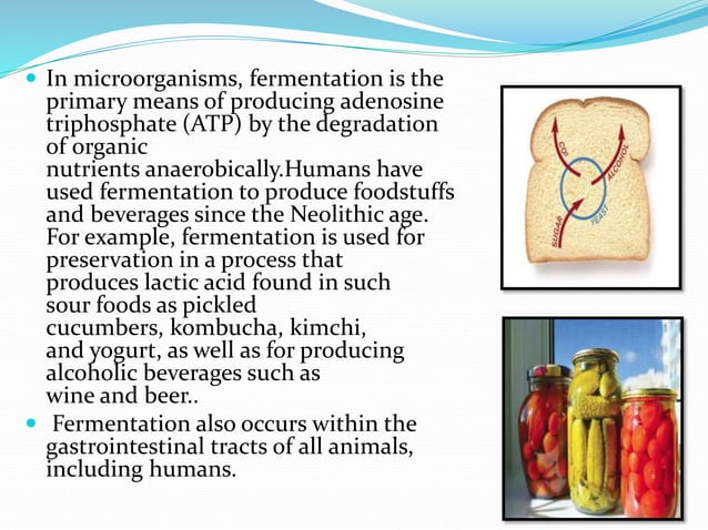 fermentation.pdf | Chemistry | Science
