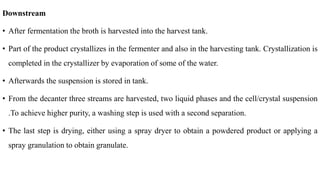FERMENTATION.pptx