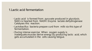 fermentation -types of fermentation, pathways, process, applicationpptx ...