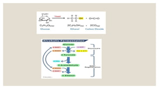 fermentation -types of fermentation, pathways, process, applicationpptx ...