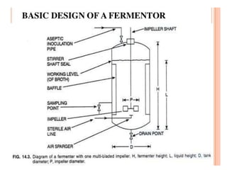 Fermentation, types of fermentatins pptx | PPTX