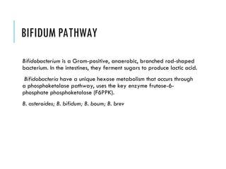 Introduction to Microbial Fermentation. ppt | PPT