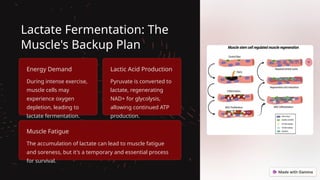 Fermentation-A-Journey-into-Microbial-Metabolism.pptx