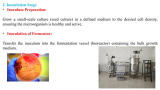 FERMENTATION M. Pharm process chemistry- Copy (2).pptx