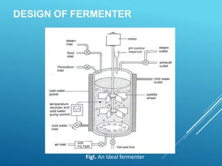 Fermentation design & types | PPTX
