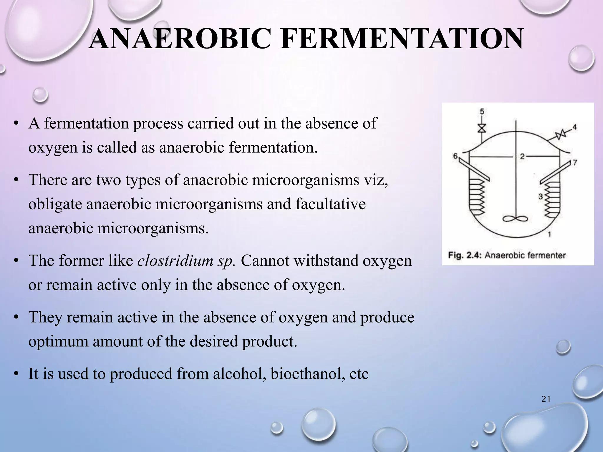 Fermentation-technology BC.ppt