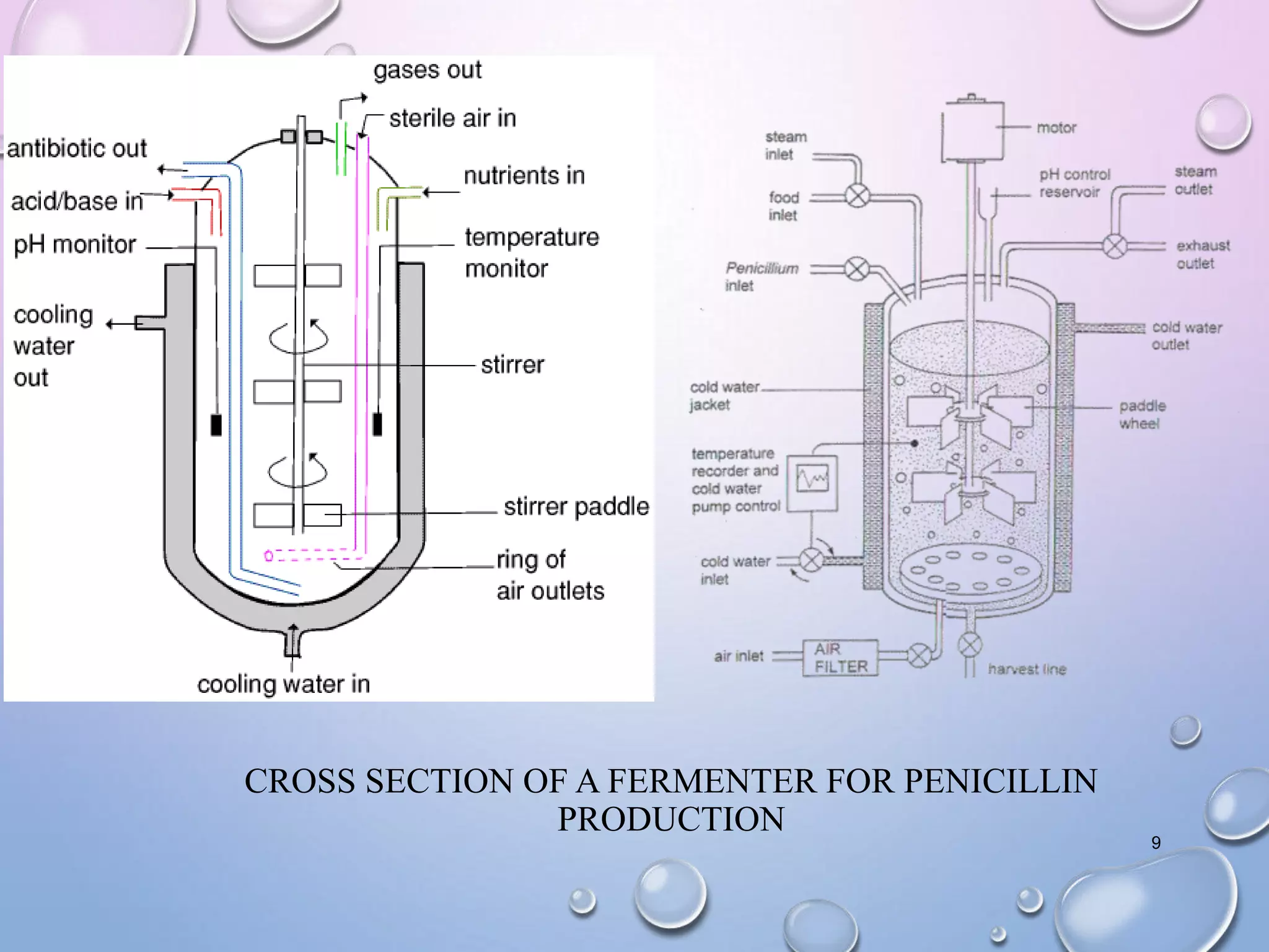 Fermentation-technology BC.ppt