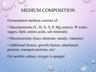 Fermentation-technology BC.ppt