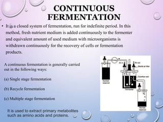 Fermentation-technology BC.ppt