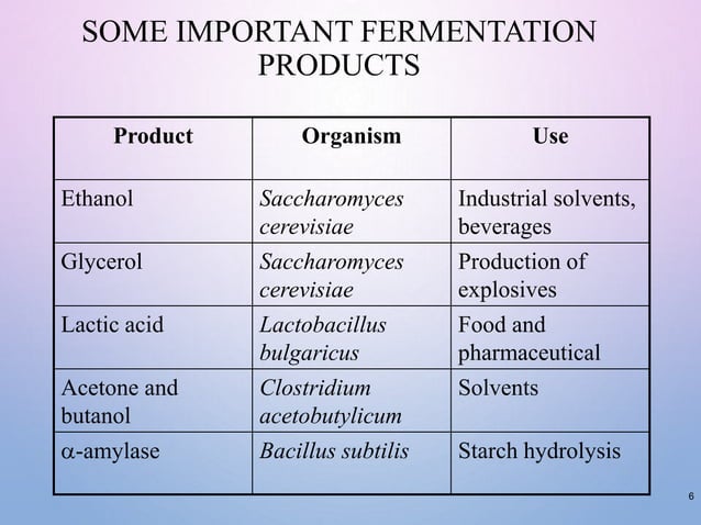 Fermentation-technology BC.ppt