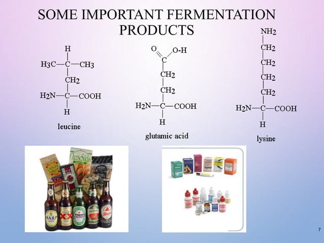 Fermentation-technology BC.ppt