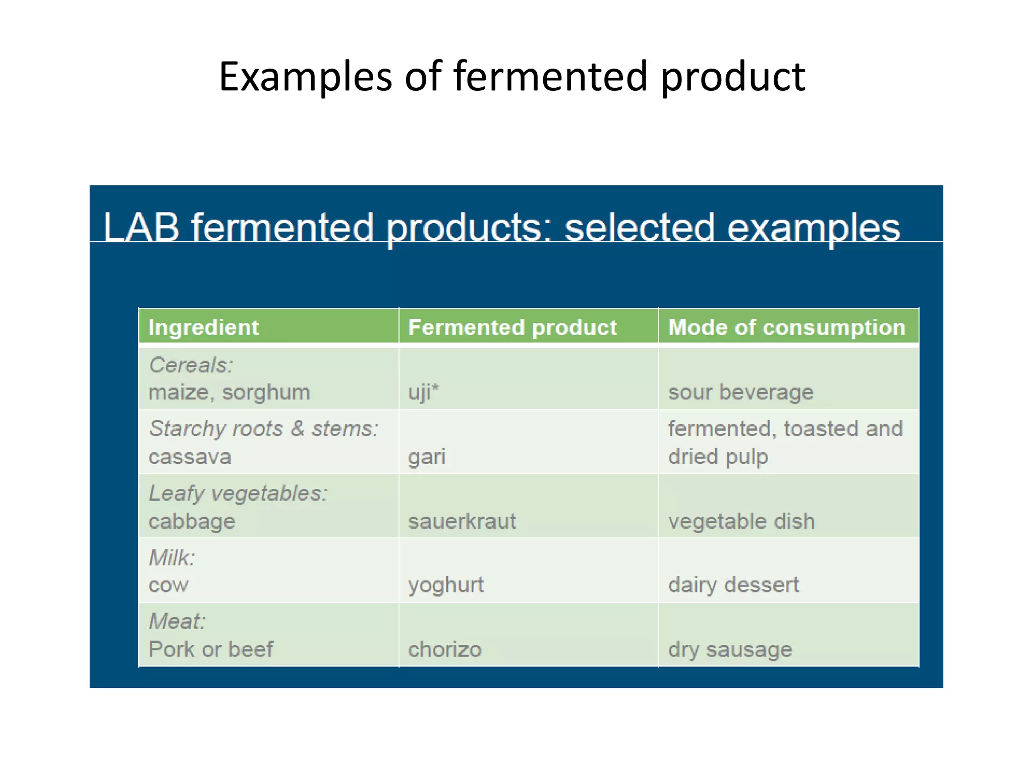 Types of Food Fermentation | PPTX