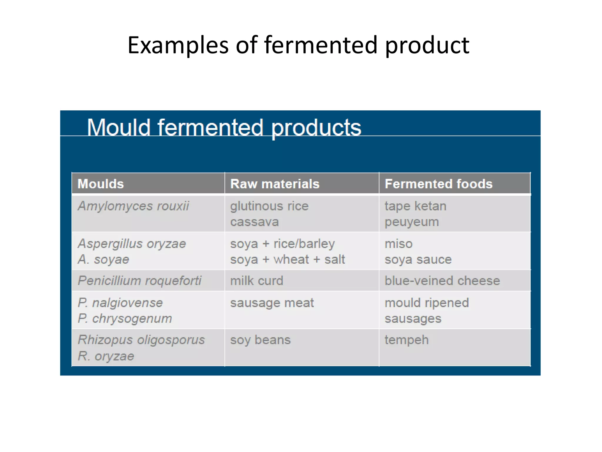 Types of Food Fermentation | PPTX