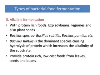 Types of Food Fermentation | PPTX