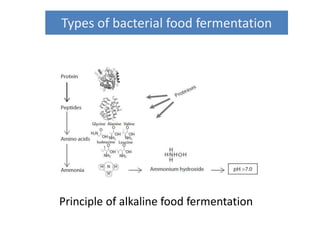 Types of Food Fermentation | PPTX