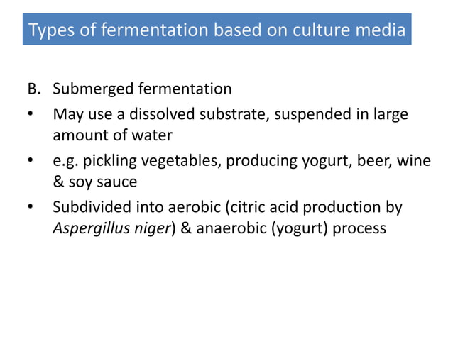 Types of Food Fermentation | PPTX