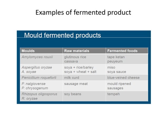 Types of Food Fermentation | PPTX