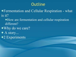 Fermentation and cellular respiration | PPT