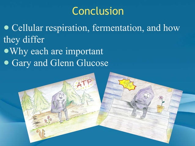 Fermentation and cellular respiration | PPT