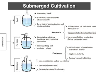 Fermentation and enzyme technology | PPTX