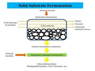 Fermentation and enzyme technology | PPTX