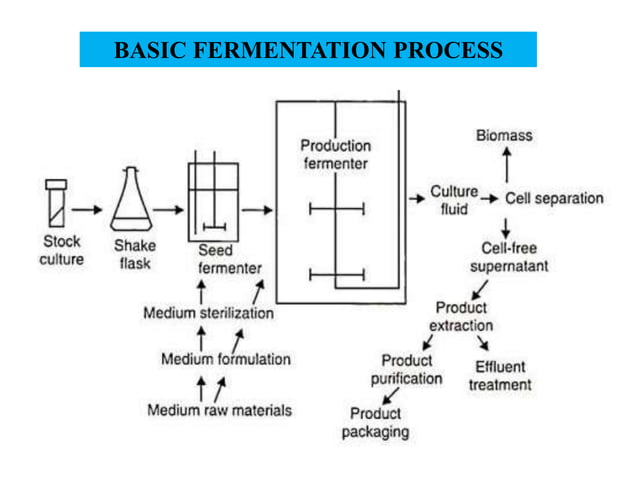 Fermentation and enzyme technology | PPTX