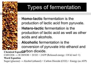 Fermentation and enzyme technology | PPTX