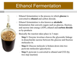 Fermentation and enzyme technology | PPTX