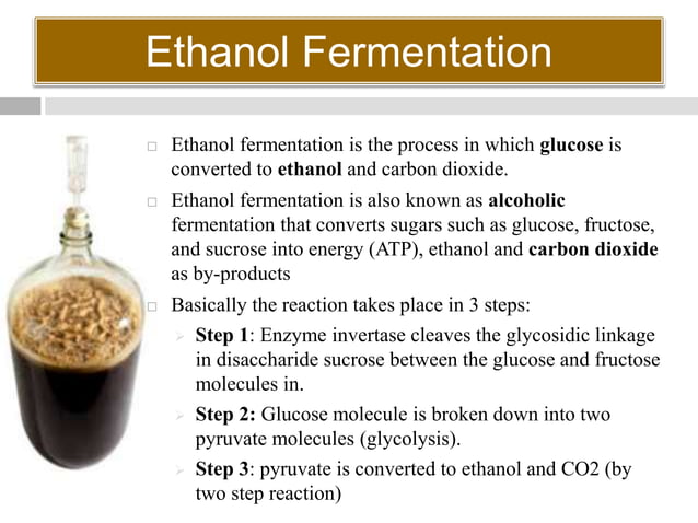 Fermentation and enzyme technology | PPTX