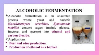 FERMENTATION AND TYPES/ FOOD MICROBIOLOGY | PPTX