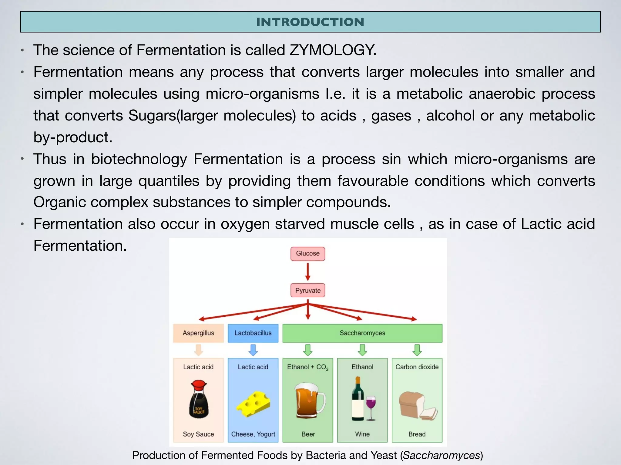 UNIT 6 Fermentation technology, Fermenters, Study of Media, types of fermentation, Methods of ...