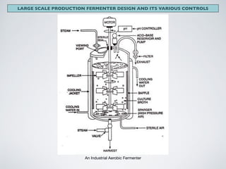 UNIT 6 Fermentation technology, Fermenters, Study of Media, types of ...