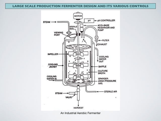 UNIT 6 Fermentation technology, Fermenters, Study of Media, types of ...