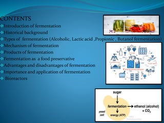 Fermentation | PPTX