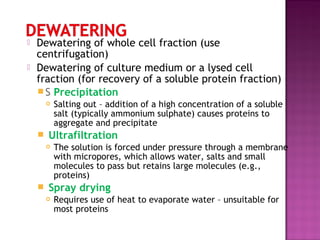 Fermentation ii | PPT