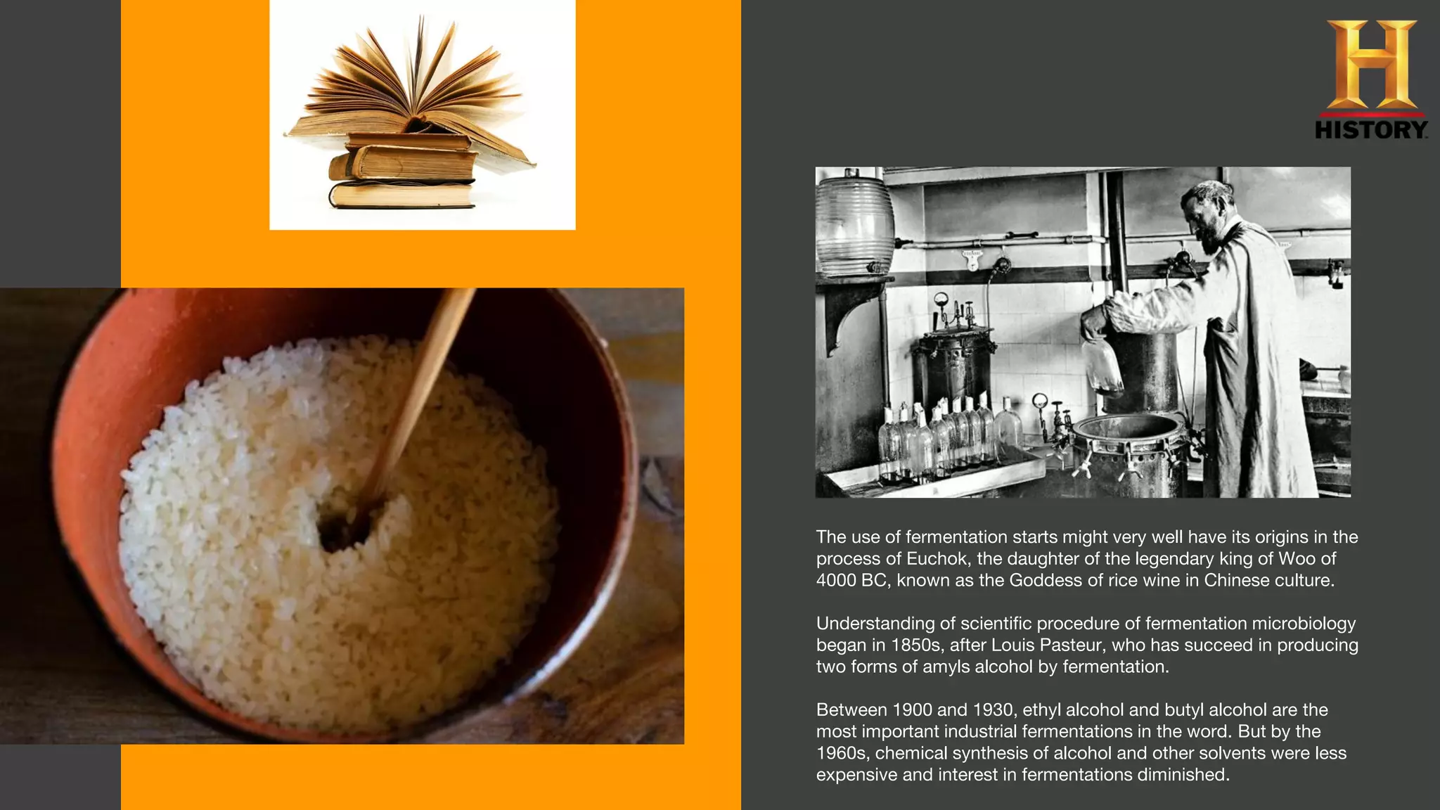 Fermentation in microorganism | PDF