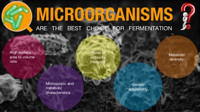 Fermentation in microorganism
