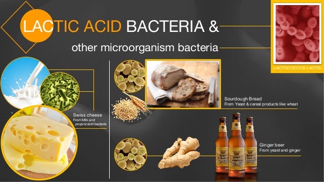 Fermentation in microorganism