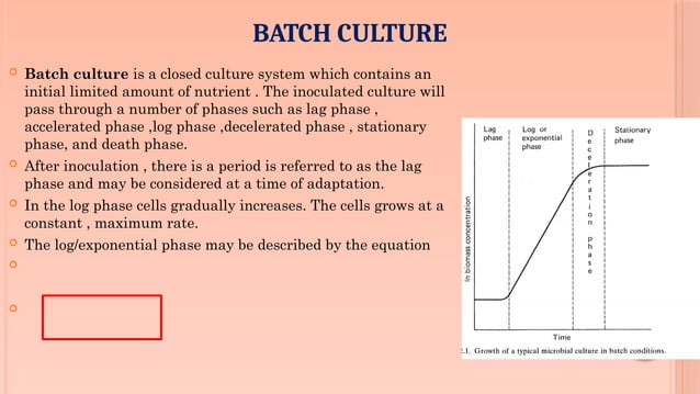 Fermentation kinetics - Ranjeet Kumar.pptx