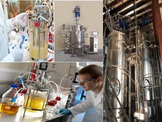 Fermentation media - Industrial fermentation (1) (1).pdf